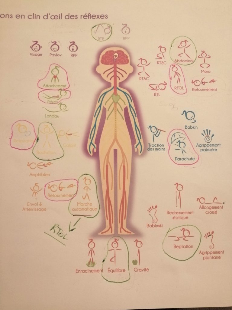 BILAN REFLEXES à domicile - Toutempsmusiques